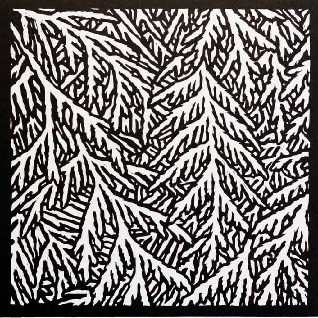 Cedar Boughs - Rick Herdman